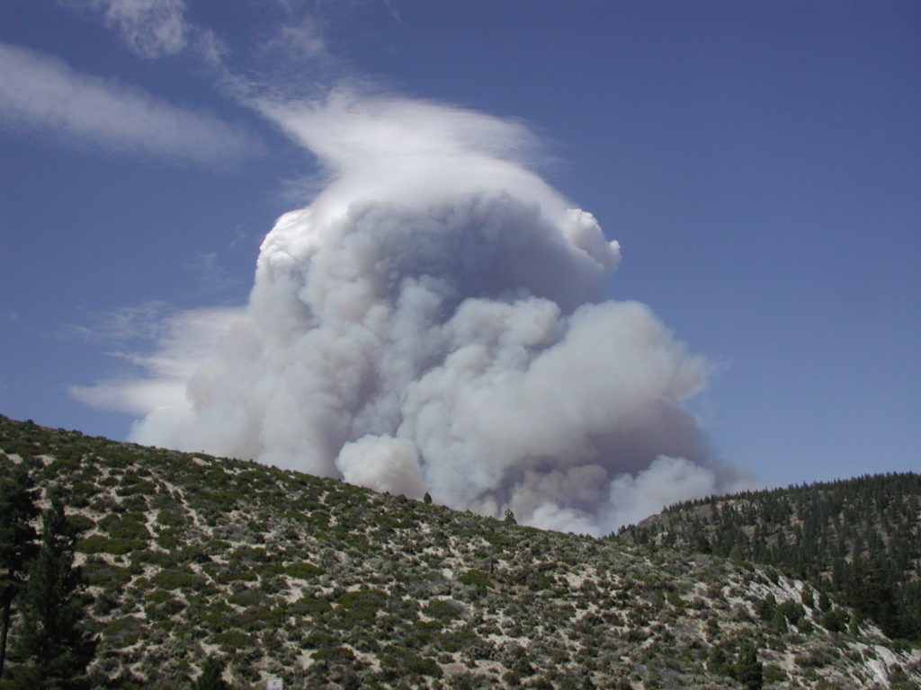 Nevadan to Nevadan | Nevada Arts Council